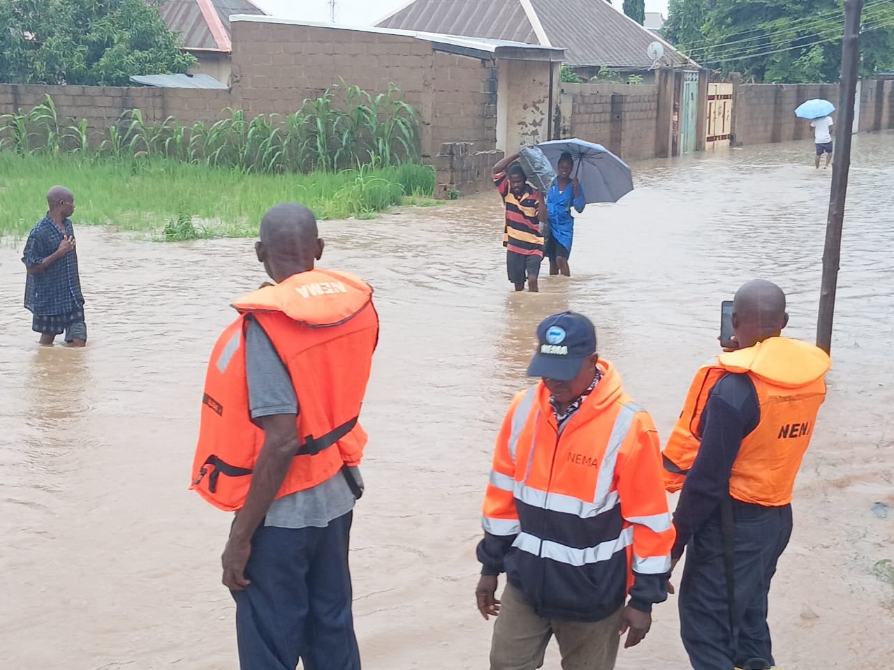 NEMA leads evacuation as flood ravages Adamawa communities - Zap Express